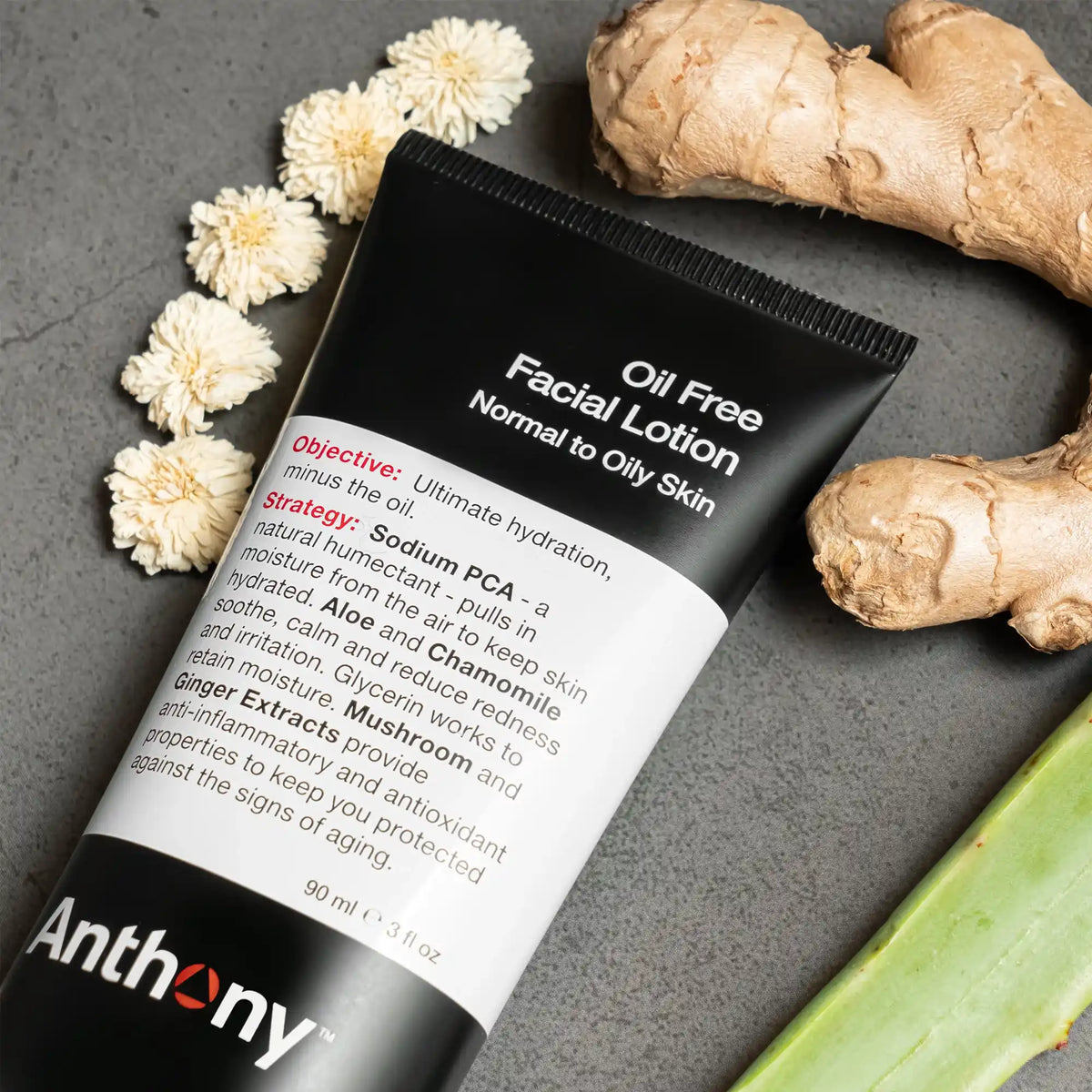 Oil Free Face Lotion – Anthony